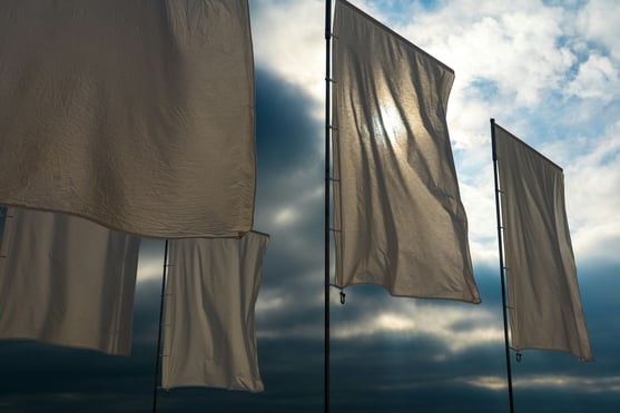 2 types of flags